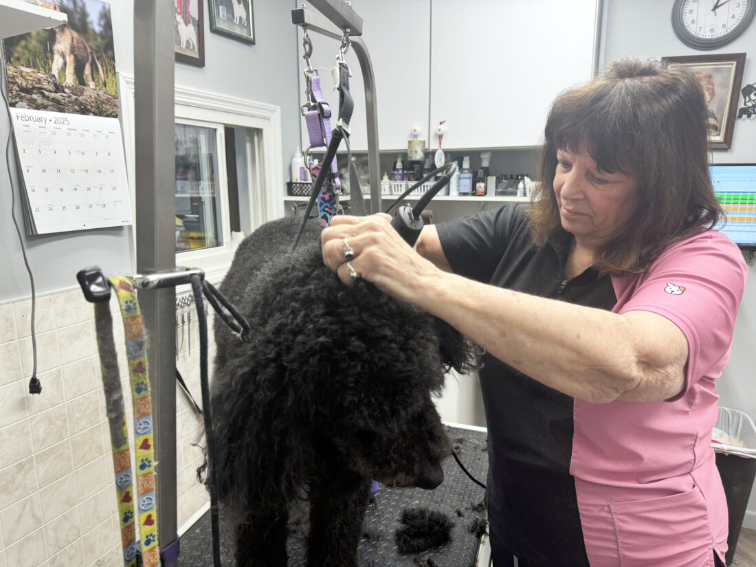 Cindy’s Smiling Sammy Grooming and Boarding provides quality service ...